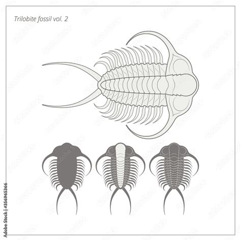 Trilobite Fossil Natural History Vector Illustration Stock Vector