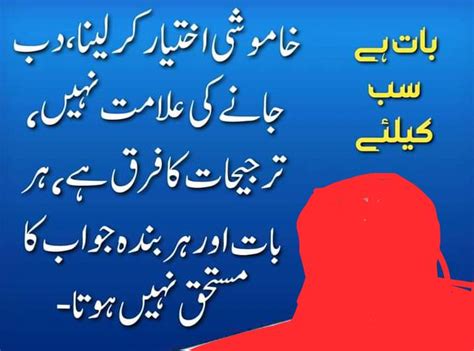 celebrating pakistan s independence muhammad abubakar posted on the topic linkedin