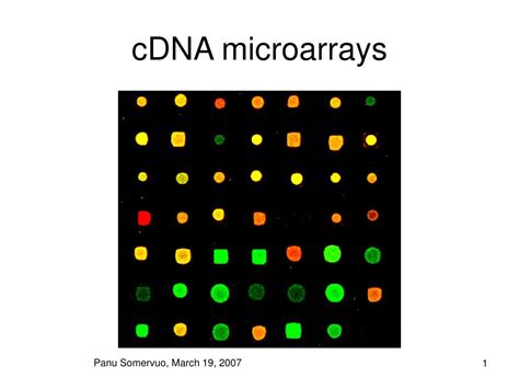 Ppt Cdna Microarrays Powerpoint Presentation Free Download Id318298