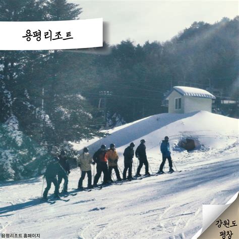 [📝포스트잇] 아이와 가기 좋은 스키장 모음 크리에이터스랩 육아의정석