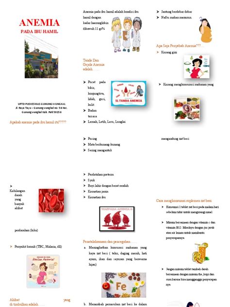 Leaflet Anemia Ku Pdf