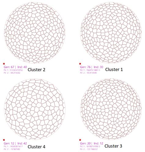 representative individuals of each cluster and its respective objective
