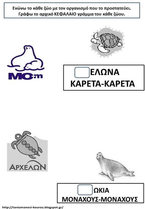 Δραστηριότητες παιδαγωγικό και εποπτικό υλικό για το Νηπιαγωγείο Ζώα που απειλούνται Χελώνα