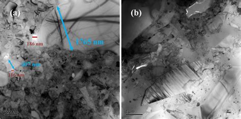 Transmission Electron Micrograph Of A Equiaxed Nanopores On Grain Download Scientific