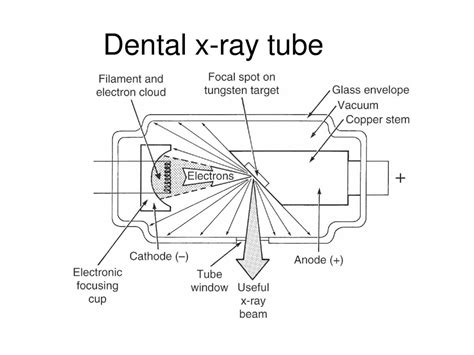 Annotated X Ray Tube Diagram