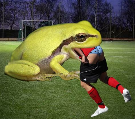Frog Vore 1 By Space432 On Deviantart