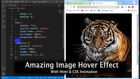 amazing image hover effect with html and css animation bangla tutorial