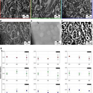 FIB SEM Acquisitions Processed Slices And Results Ac The Three Areas Download Scientific