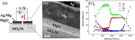 Magnetic Field Controllable Nonvolatile Resistive Switching Effect In Silicon Device Applied