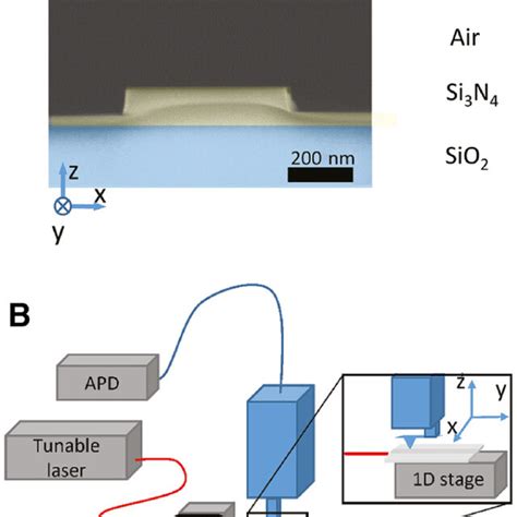A Edge On Scanning Electron Microscope Image Of A 650 Nm Wide Si3n4 Download Scientific