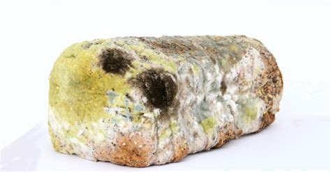 Gabriel Pozo Posted On Linkedin