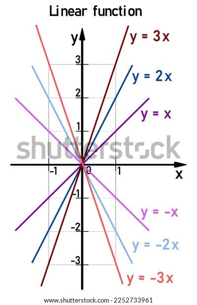 Examples Six Different Linear Functions Shown Stock Vector Royalty Free Shutterstock
