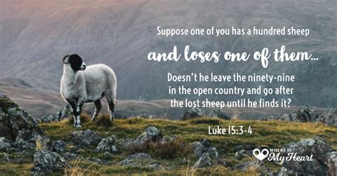 Luke 153 7 Niv Where Is My Heart