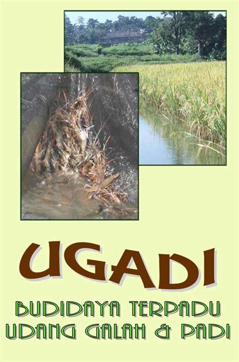 Penyuluhan Perikanan Budidaya Terpadu Udang Galah And Padi Ugadi