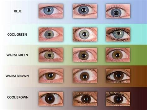 Pin By Periwinkle Packages On Seasonal Color Analysis General Eye Color Facts Eye Color Chart Pin By Periwinkle Packages On Seasonal Color Analysis General Eye Color Facts Eye Color Chart