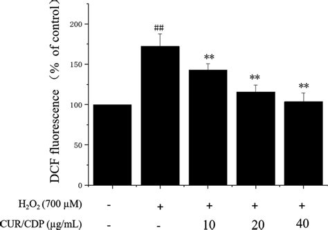 Effect Of Curcumin Cyclodextrin Polymer Cur Cdp Pretreatment On Download Scientific Diagram