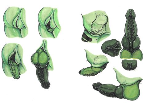 Rule 34 Absurd Res Anthro Blue Formalin Cybernetics Cyborg Diana Digma Dragon Erection Female