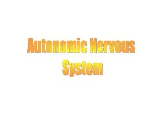 PPT Autonomic Nervous System PowerPoint Presentation Free Download ID 1968771