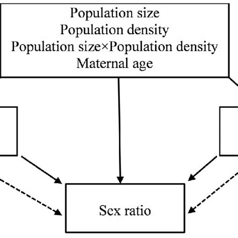A Diagram Showing The Paths Of Direct Solid Line And Indirect Dashed Download Scientific