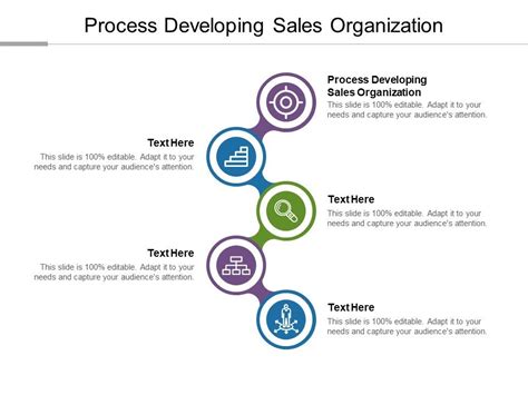 Process Developing Sales Organization Ppt Powerpoint Presentation Gallery O