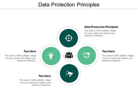 Data Protection Principles Ppt Powerpoint Presentation Styles Good Cpb