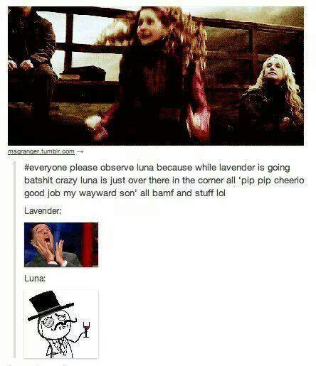 Pip Pip Cheerio Harry Potter Funny Harry Potter Memes Harry Potter Headcannons