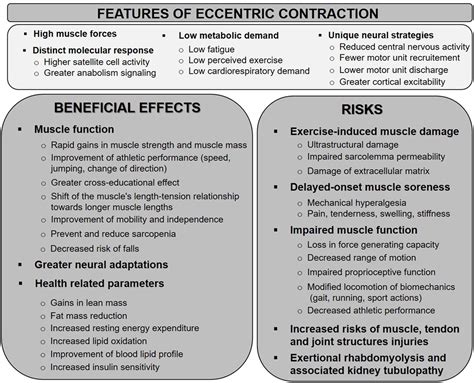 Concentric Vs Eccentric Contraction What Eccentric And Concentric
