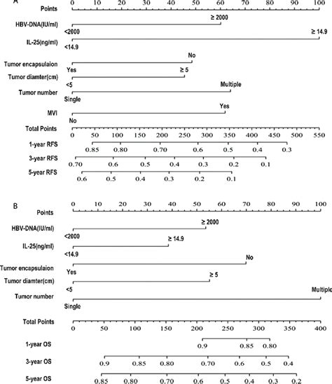 Hcc Patient Survival Nomogram A B A Survival Nomogram Designed To