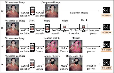 Figure 10 From Adaptive Robust Watermarking For Resisting Multiple Distortions In Real Scenes