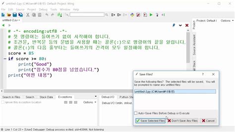 26강 조건문if과 들여쓰기 파이썬python 입문자용 초급 Youtube