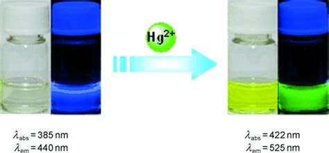 Fluorescent And Colorimetric Probes For Mercuryii Tunable Structures Of Electron Donor And π