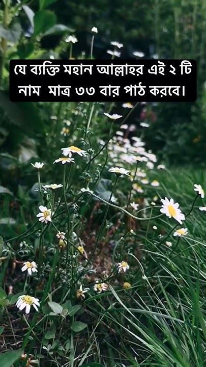 যে ব্যক্তি মহান আল্লাহর এই ২ টি নাম মাত্র ৩৩ বার পাঠ করবে। মনেরআশা