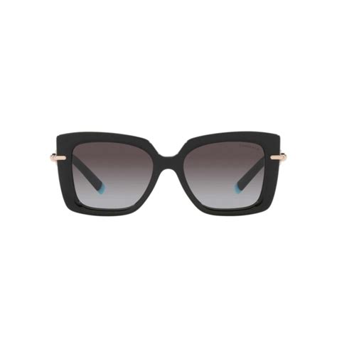 Tiffany 4199 80013c 53 Sunglasses