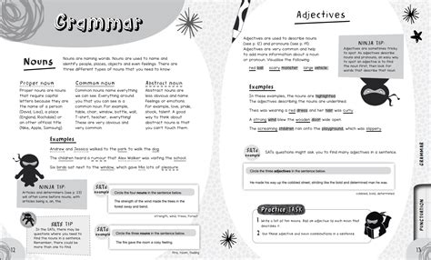 Book Review Sats Like A Ninja Rise Magazine