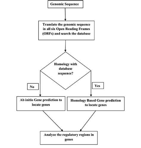 Flow Chart Illustrating Gene Prediction Procedure In A Stepwise Manner Download Scientific Diagram
