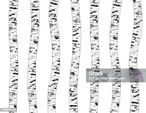 자작 나무 장식 트렁크 아이콘 실루엣 모양 세트 나무 껍질 색상 숲 예술 직물 기호 팩 벡터 일러스트 배경 이미지입니다 가을 가을과 여름 그래픽 색상 벽지 컬렉션입니다 검은
