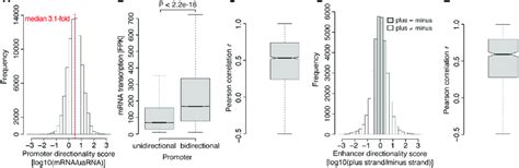 Transcription Directionality Is Preserved Across Cell Types A