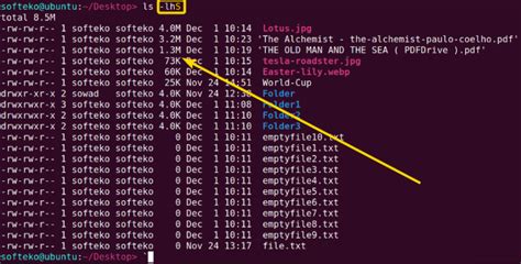 The Ls Command In Linux Practical Examples Linuxsimply