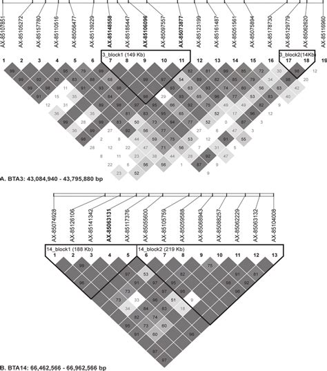 Haplotype Block Patterns For The Significant Snp False Discovery Rate Download Scientific Diagram