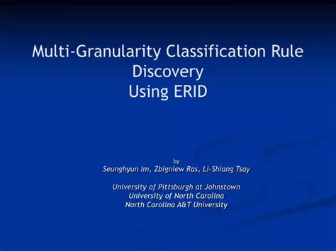 ppt multi granularity classi fi cation rule discovery using erid