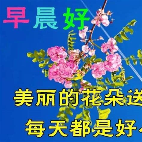 8张最新漂亮夏日早上好图片鲜花带字 2022夏天最美早安动画鲜花图片带字带祝福语问候朝霞友情
