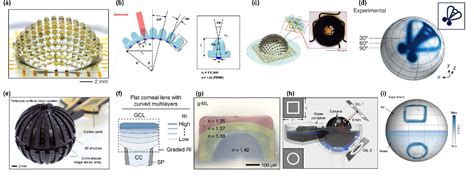 Figure 1 From Bio Inspired Visual Systems Based On Curved Image Sensors And Synaptic Devices