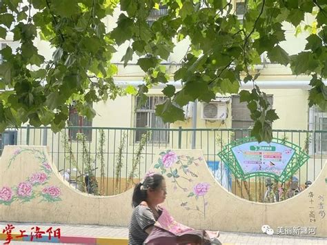 【城市提质】青春画作“碰撞”老旧小区！瀍河区一小区旧貌换新颜澎湃号·政务澎湃新闻 The Paper
