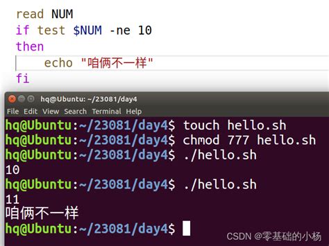 深入理解shell脚本编程：变量、运算与控制结构 csdn博客