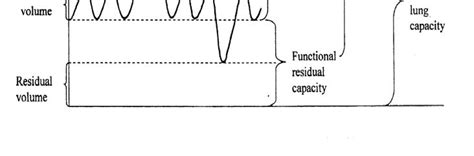 Lung Volumes Tidal Volume Volume Of Air Inhaled During Normal Quiet