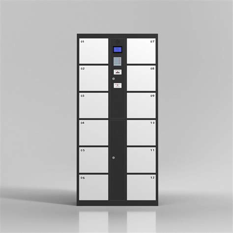 헬스장 스마트 사물함 시스템 금속 캐비닛 스마트 택배 사물함 캐비닛 전자식 스마트 택배 배송 사물함 비치 파크용 중국 헬스장