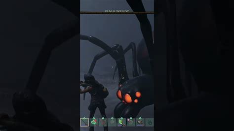 Black Widow Spider Locations Map