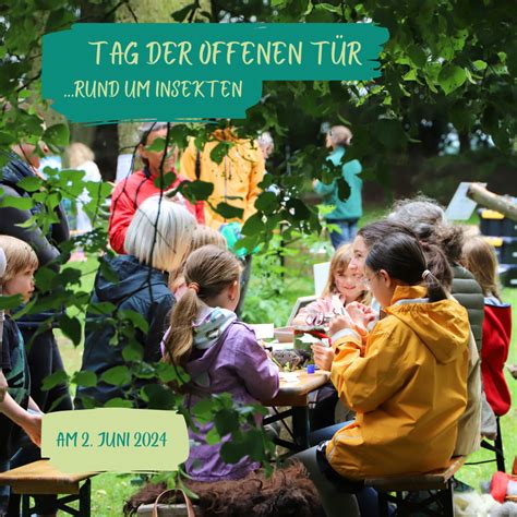 Das war unser Tag der offenen Tür rund um Insekten INSA