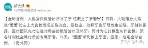 根管冠修复重要性 国宝大熊猫团团都戴牙套了 知乎