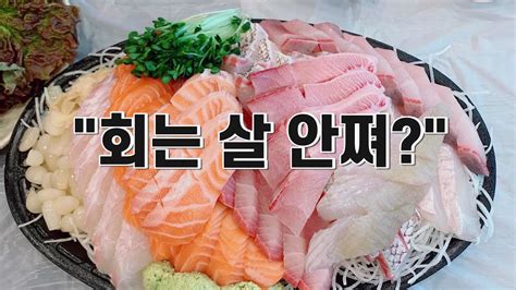 맛있는 회 종류별 칼로리 회는 정말로 살이 안 찔까 Youtube